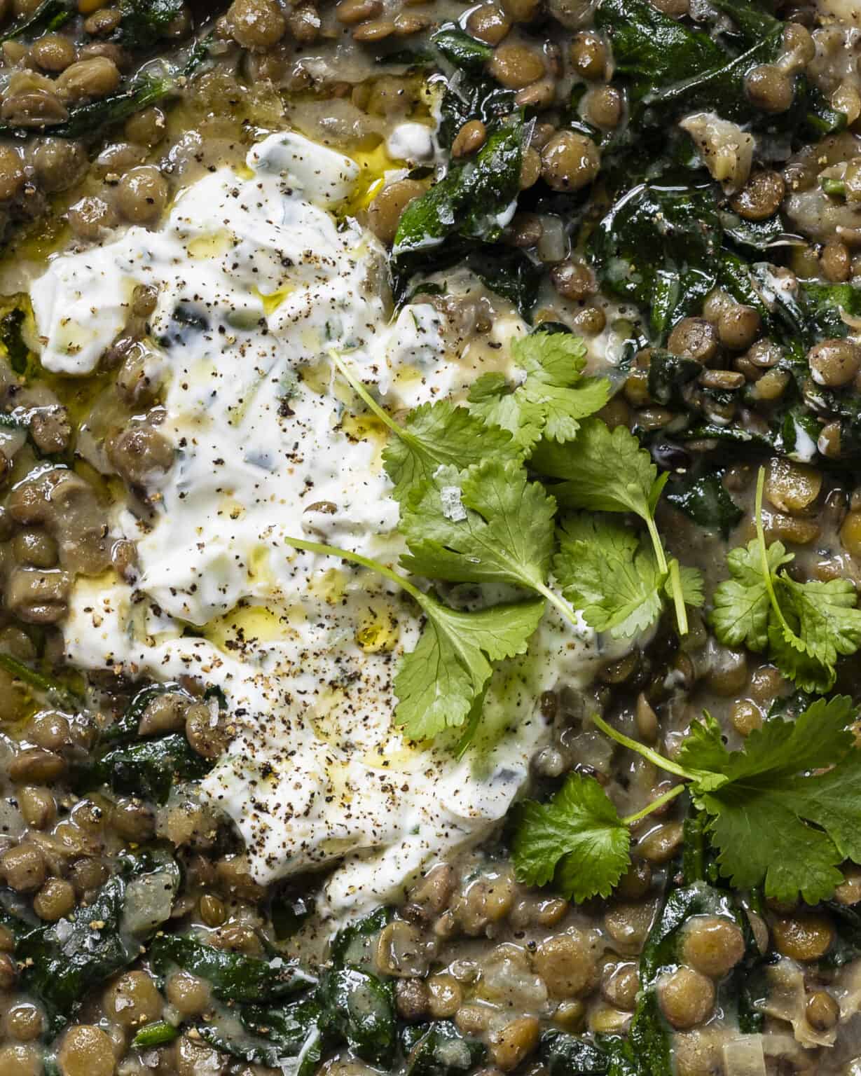 Grøn dahl - Opskrift på dhal med grønne linser og kokosmælk