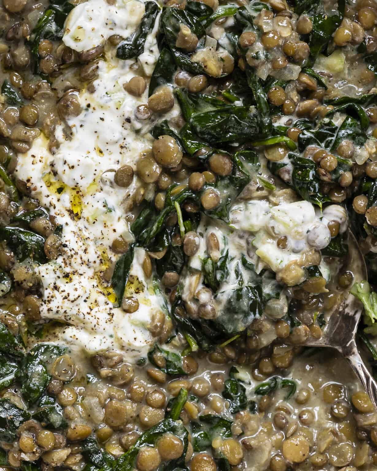 Grøn dahl - Opskrift på dhal med grønne linser og kokosmælk